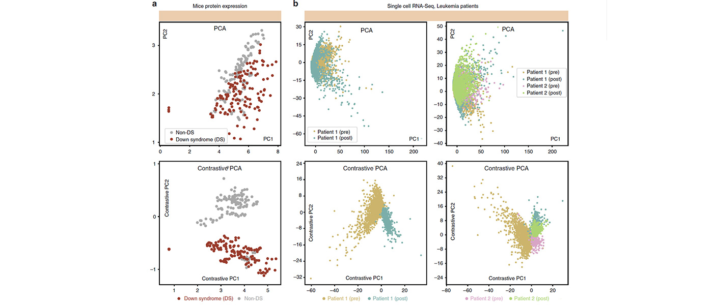Contrastive principal component analysis (cPCA) to explore patterns ...