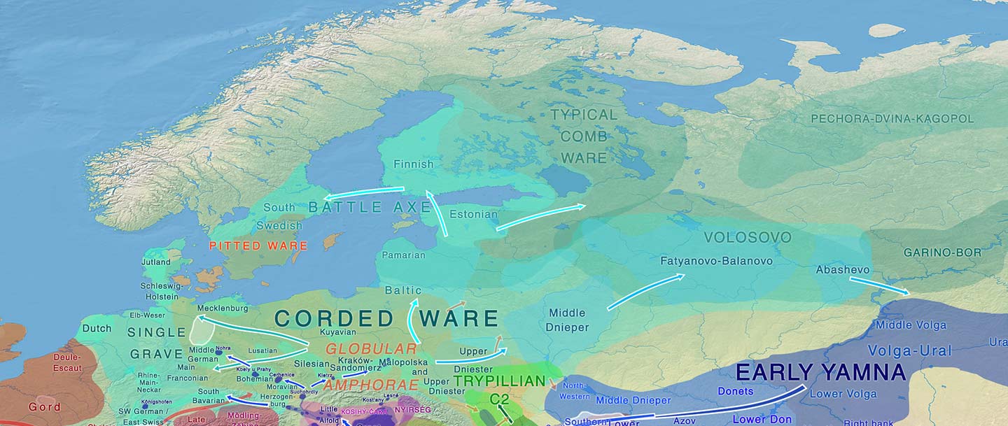 Pre-Germanic and Pre-Balto-Finnic shared vocabulary from Pitted Ware ...